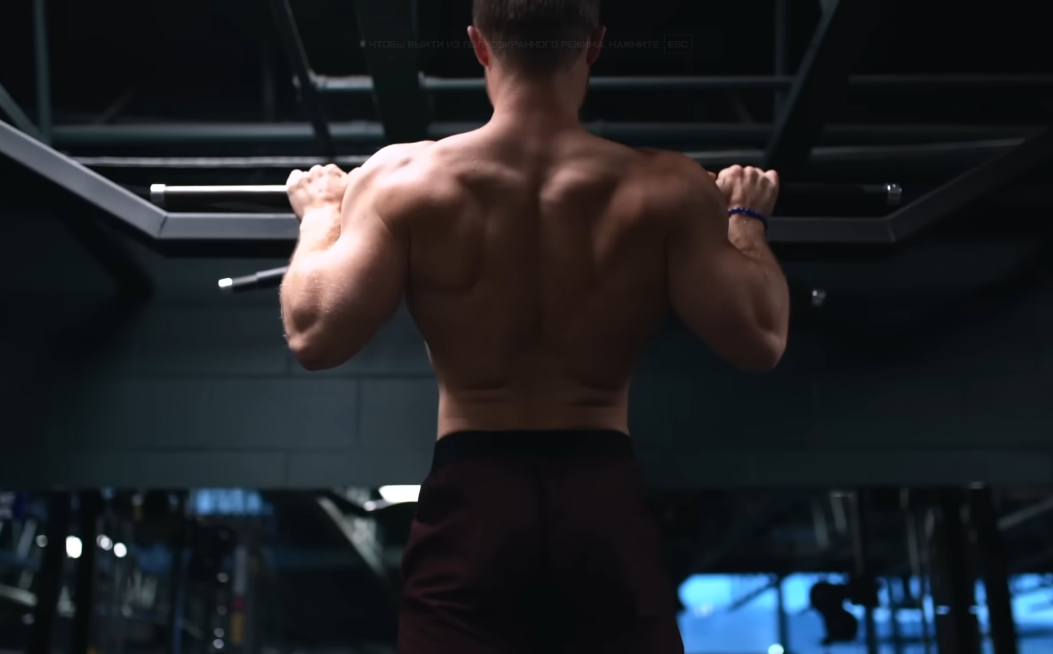 High Row vs. Lat Pulldown: What’s the Difference? - Rio Linda Fitness