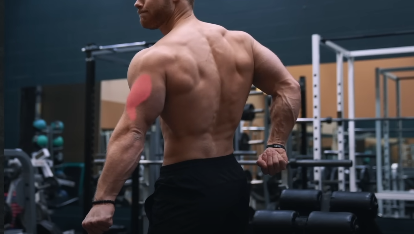 Medial Head Tricep Exercises - Rio Linda Fitness