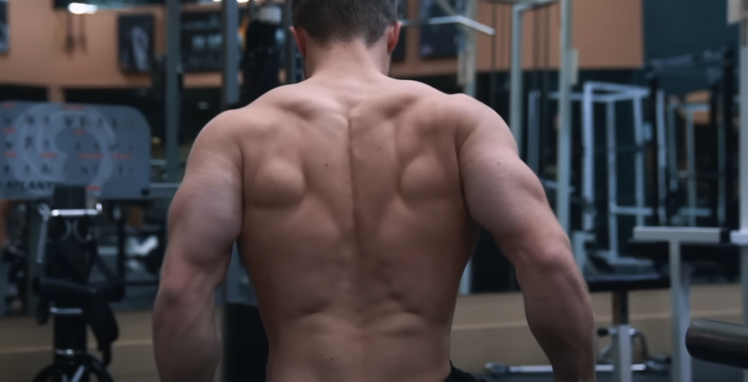 Medial Head Tricep Exercises - Rio Linda Fitness