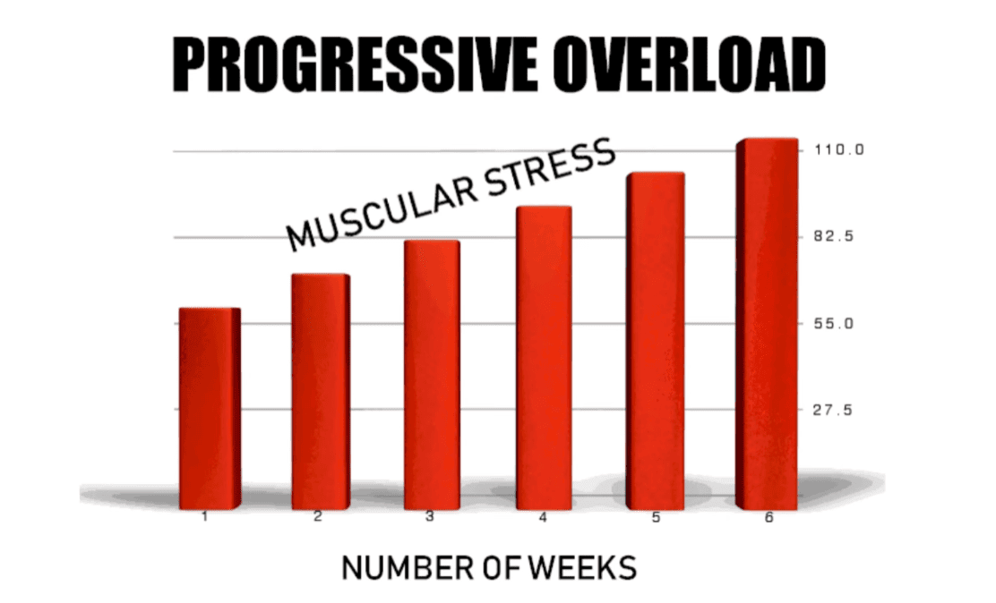 Progressive Overload Workout Plan